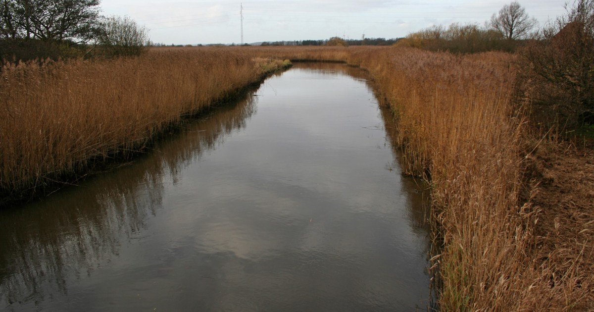 Alling Å (Allingåbro) | FISHMAPS - Angelführer Dänemark