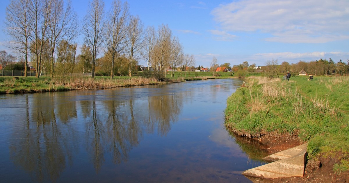Gudenå (Bjerringbro) | FISHMAPS - Angelführer Dänemark