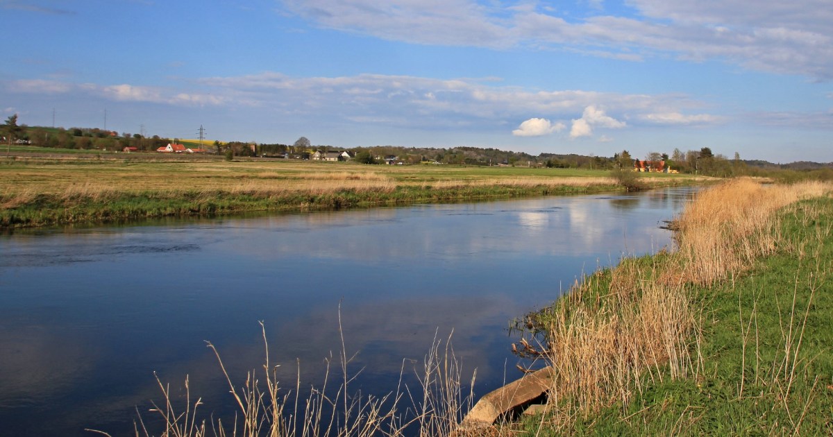 Gudenå (Ulstrup) | FISHMAPS - Angelführer Dänemark