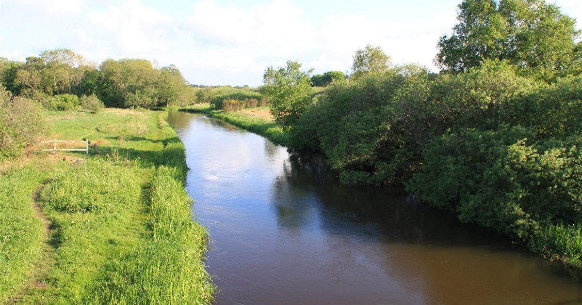 Karup Å (Hagebro) | FISHMAPS - Angelführer Dänemark