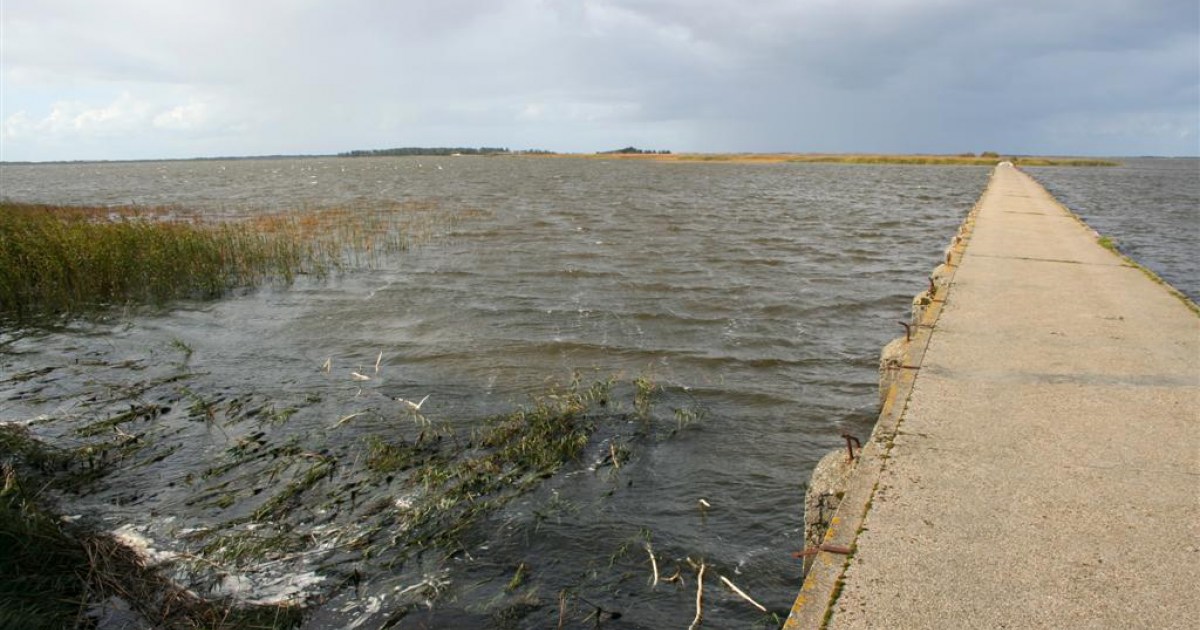 Stadil Fjord | FISHMAPS - Angelführer Dänemark