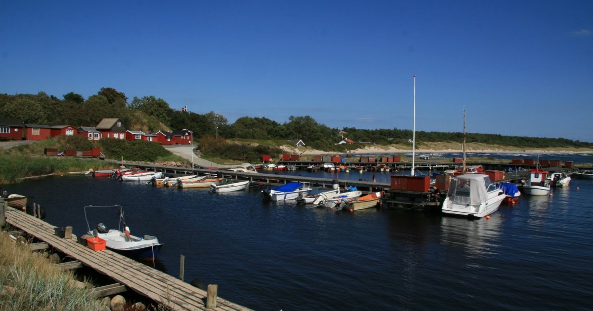 Boderne | FISHMAPS - Angelführer Dänemark