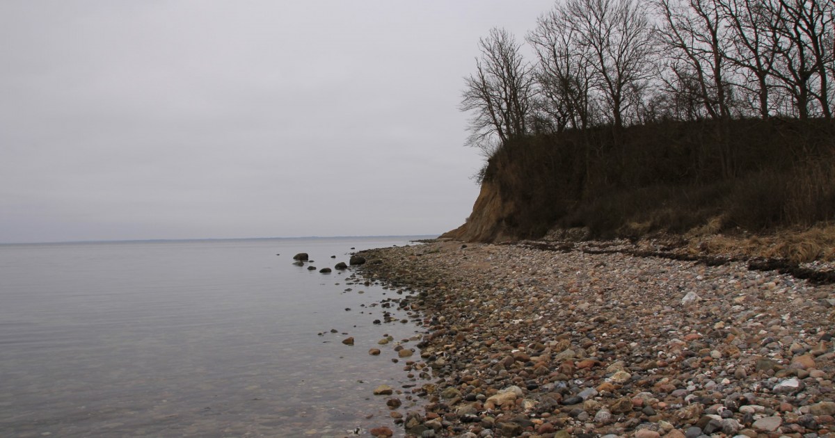 Halk Hoved | FISHMAPS - Angelführer Dänemark