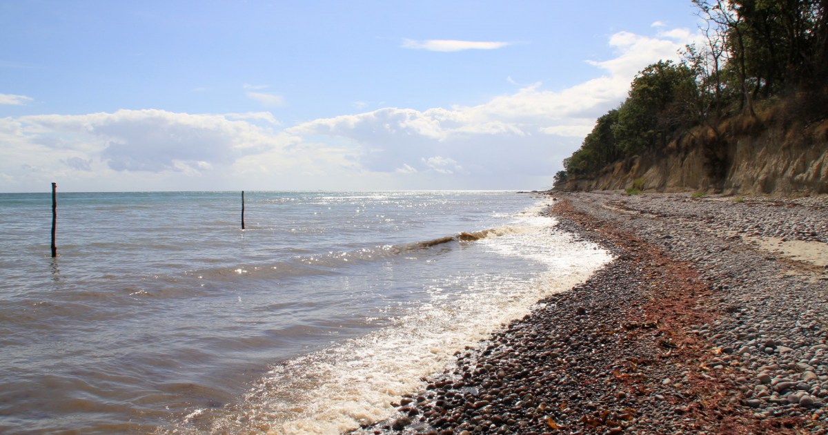 Langeland - Lunden | FISHMAPS - Angelführer Dänemark