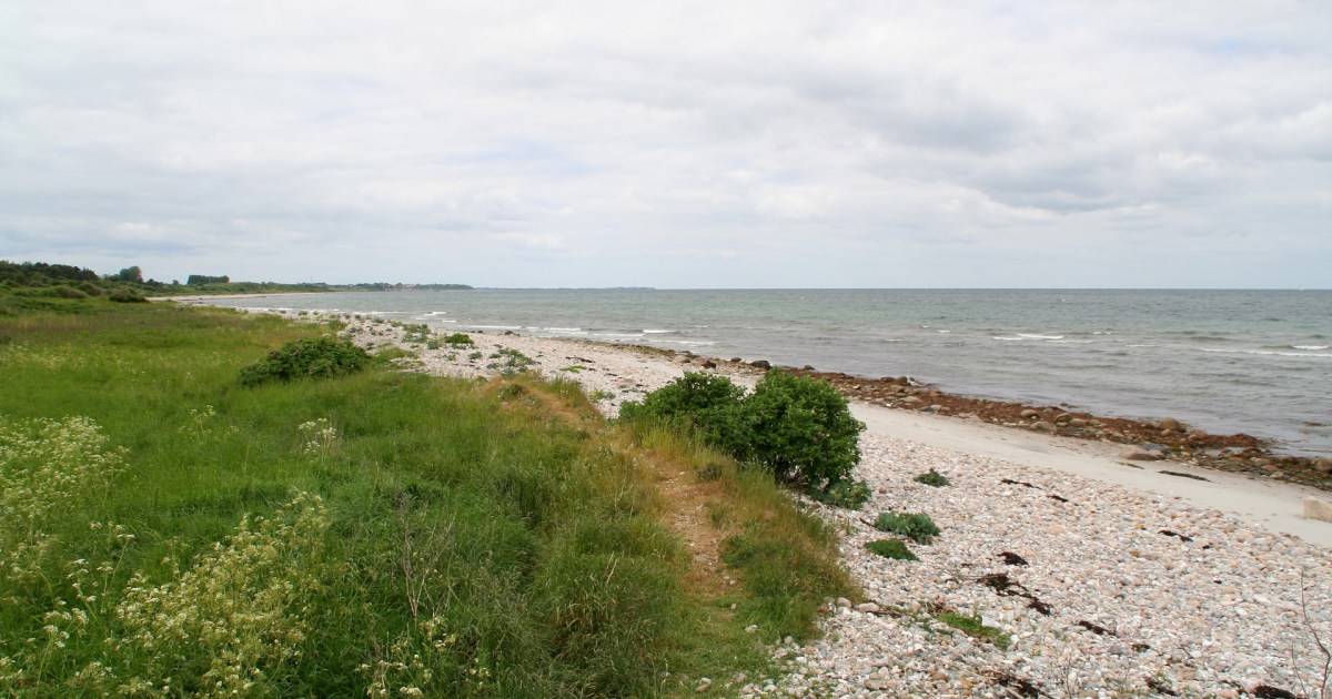 Overby Lyng | FISHMAPS - Angelführer Dänemark