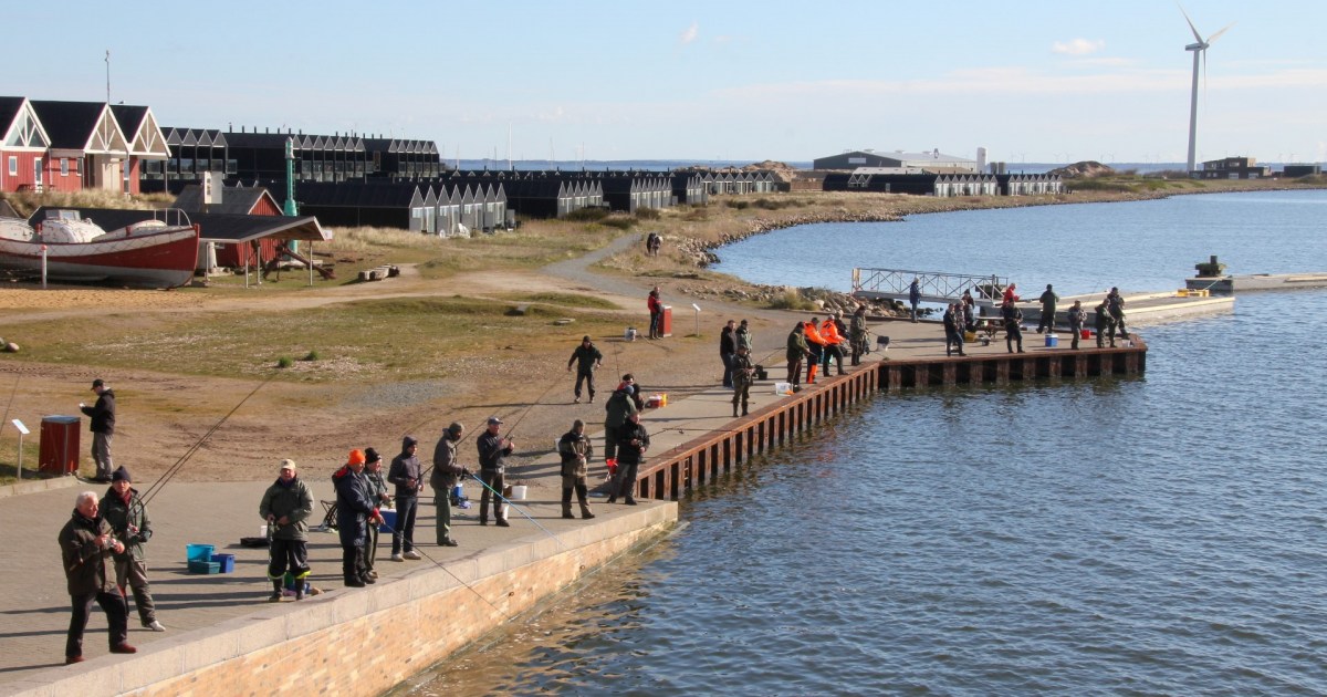 Hvide Sande - Schleuse Nordufer (Fjordseite) | FISHMAPS - Angelführer ...