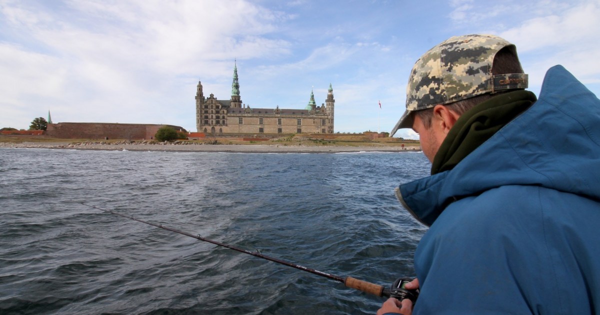 Angeln in Nordseeland und am Øresund | FISHMAPS - Angelführer Dänemark